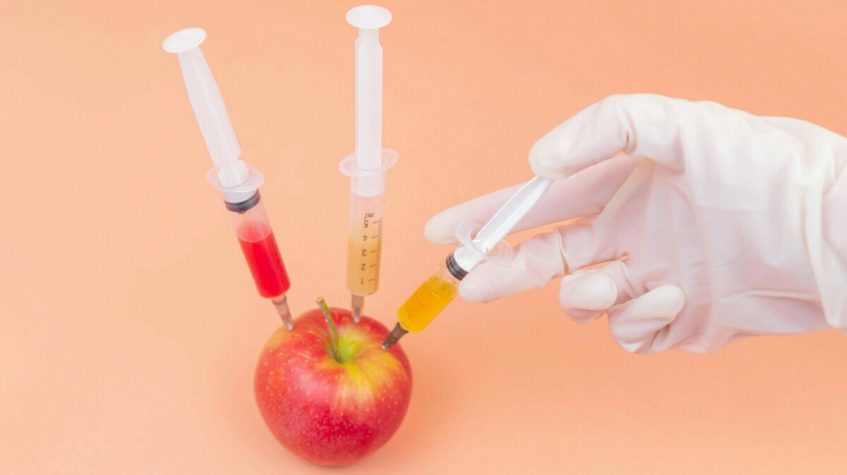 E-numbers: which ones can I eat | Elvou